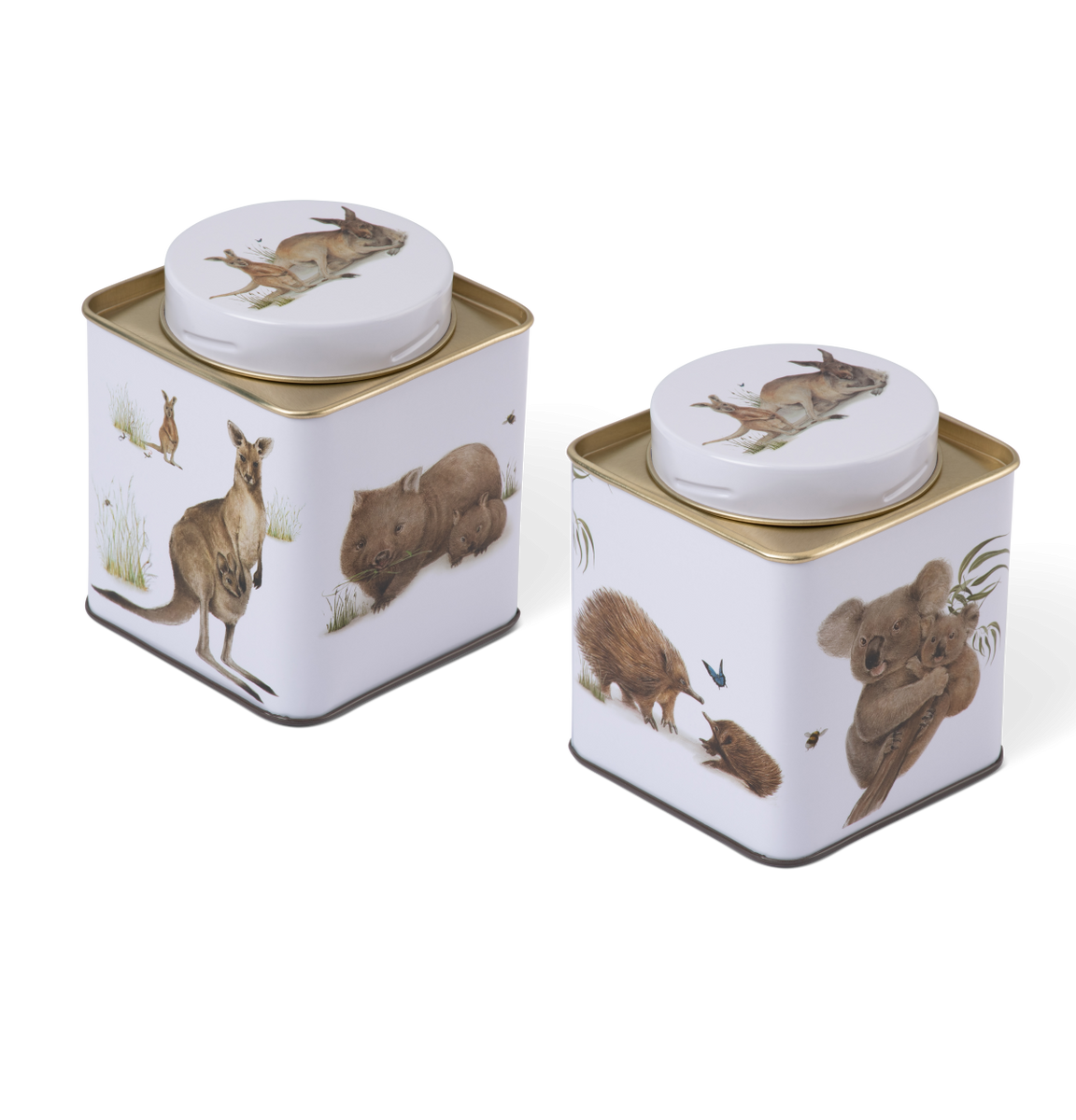 Australian Wildlife Animals Tea Caddy Tin – The Berry Tea Shop