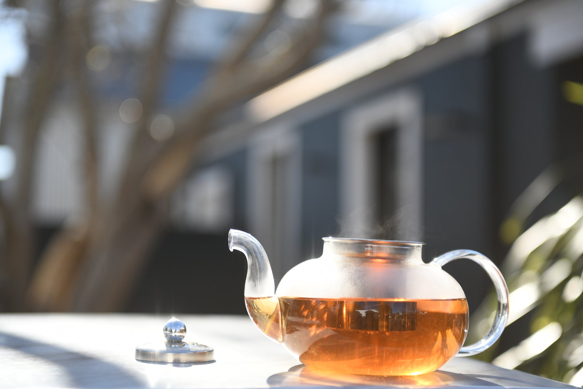 The Berry Tea Shop - Fine Tea Merchants South Coast, NSW
